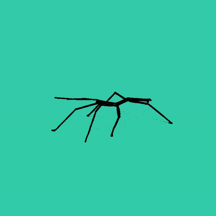 stickbug | mindroot
