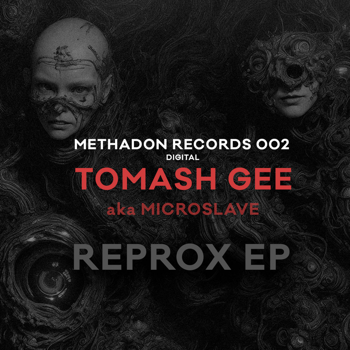 Reprox LP | Microslave