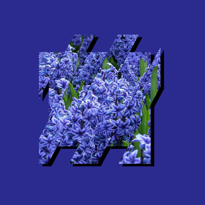 Hyacinths | Dan Mason