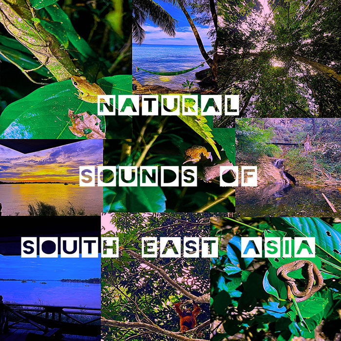 Natural Sounds Of South East Asia | Jake Edwards