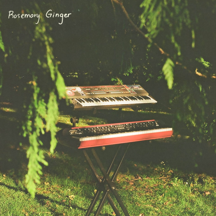 Rosemary Ginger | Rosemary Ginger