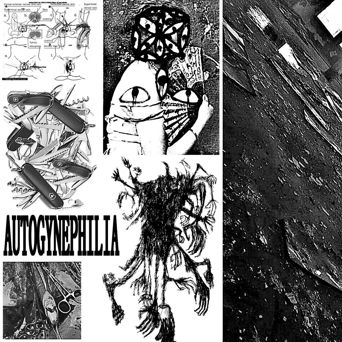 Autogynephilia | Ragk