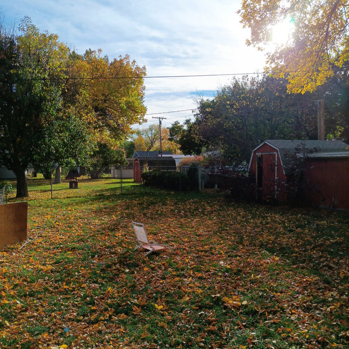 Alive, From The Breezeway | Nicole Foreman