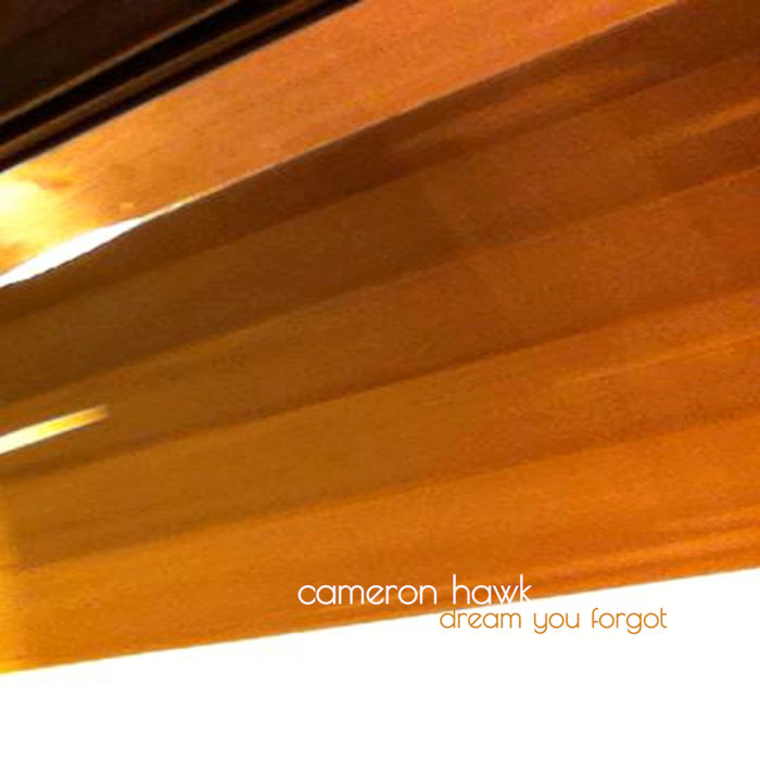 Dream You Forgot | Cameron Hawk