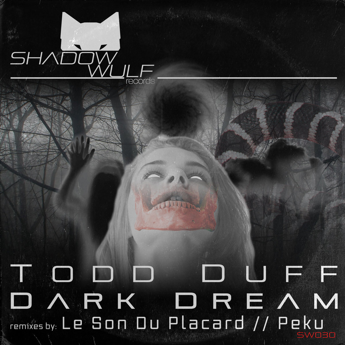 Dark Dream | Todd Duff | Shadow Wulf
