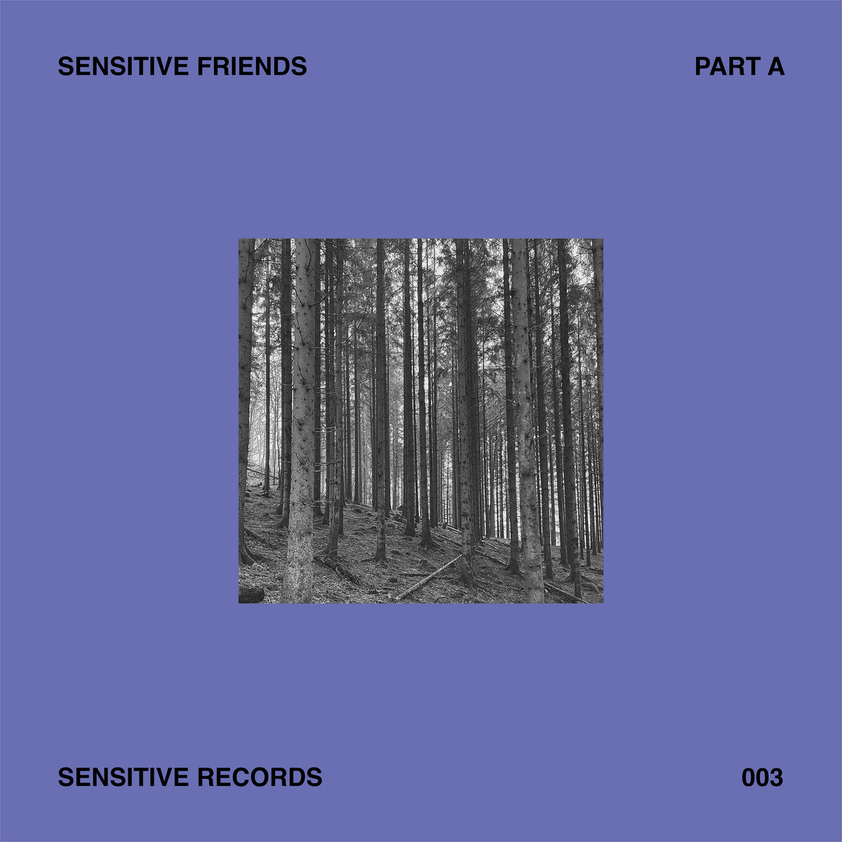 Sensitive Friends - Part A | Sensitive Records