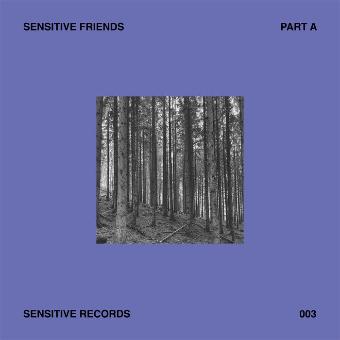 Sensitive Friends - Part A | Sensitive Records