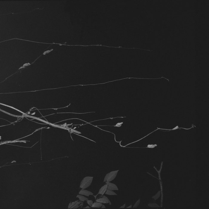 Sakuraza | Eiko Ishibashi / Jim O’Rourke / Tatsuhisa Yamamoto / Kei ...