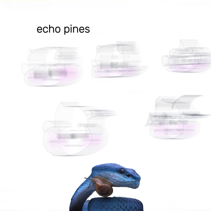 Time of Blue Snake EP | Echo Pines
