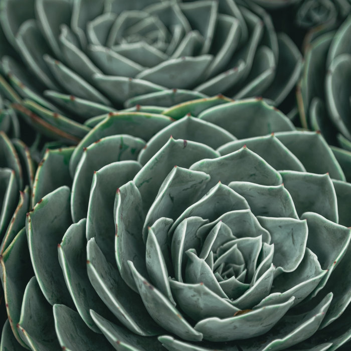 Deliver Us | Kenya Chung