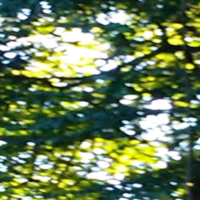 A Quiet Week | Sunday School