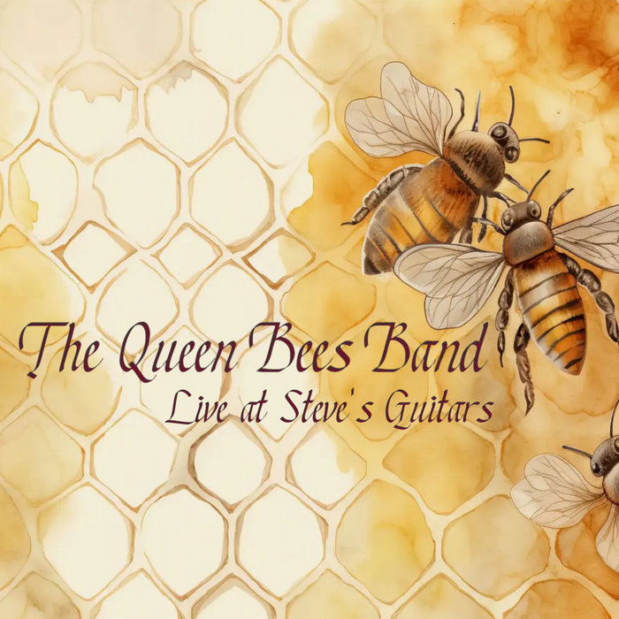 Live at Steve's Guitars | The Queen Bees Band