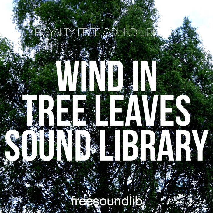 Wind In Tree Leaves | Wind Sounds & Forest Sounds | freesoundlib