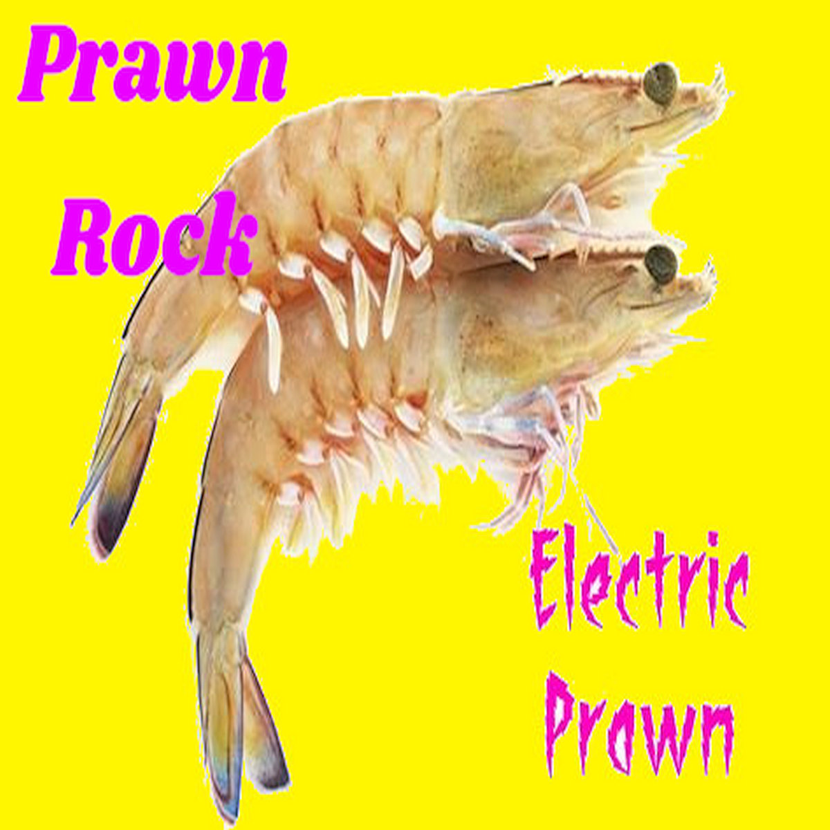 Prawn Rock | Electric Prawn