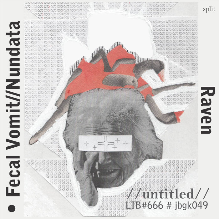 //UNTITLED// : split Raven // Fecal Vomit/Nundata (2015) | Raven ...