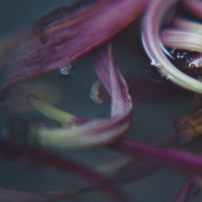 Electrifying Mojo | Hitam