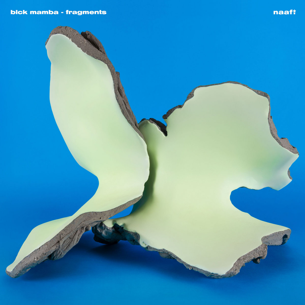 Fragments | Blck Mamba