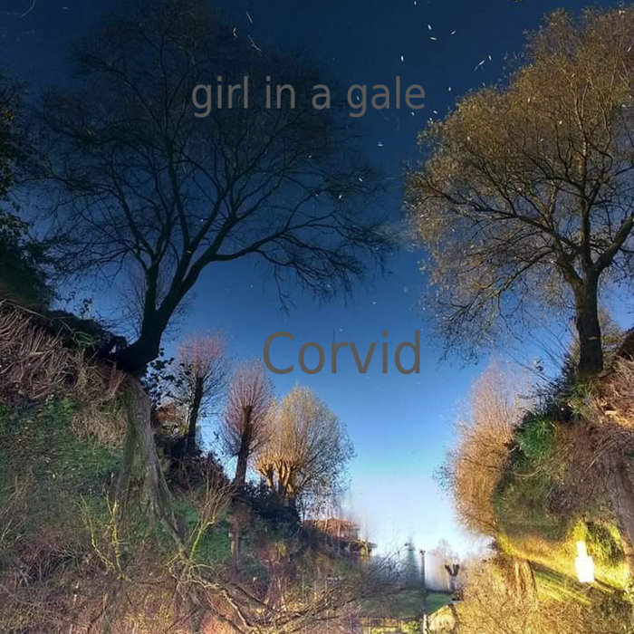 Corvid | girl in a gale