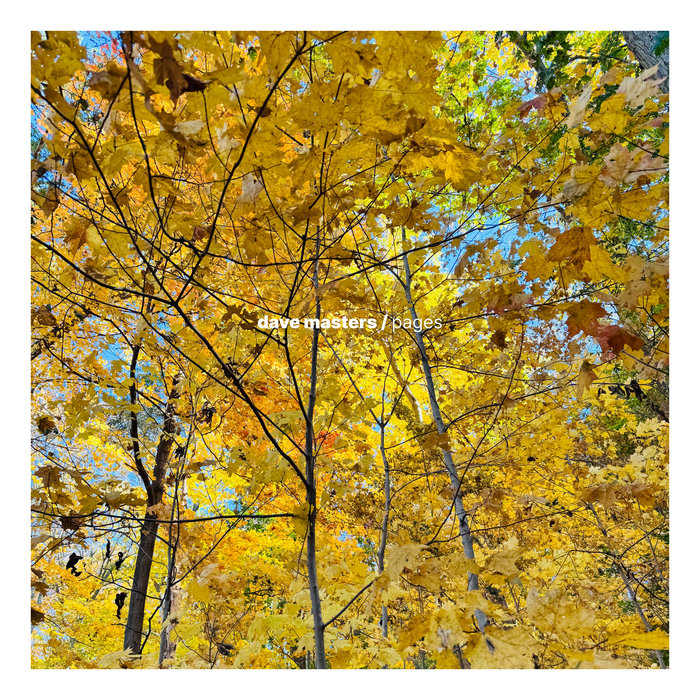 pages | dave masters