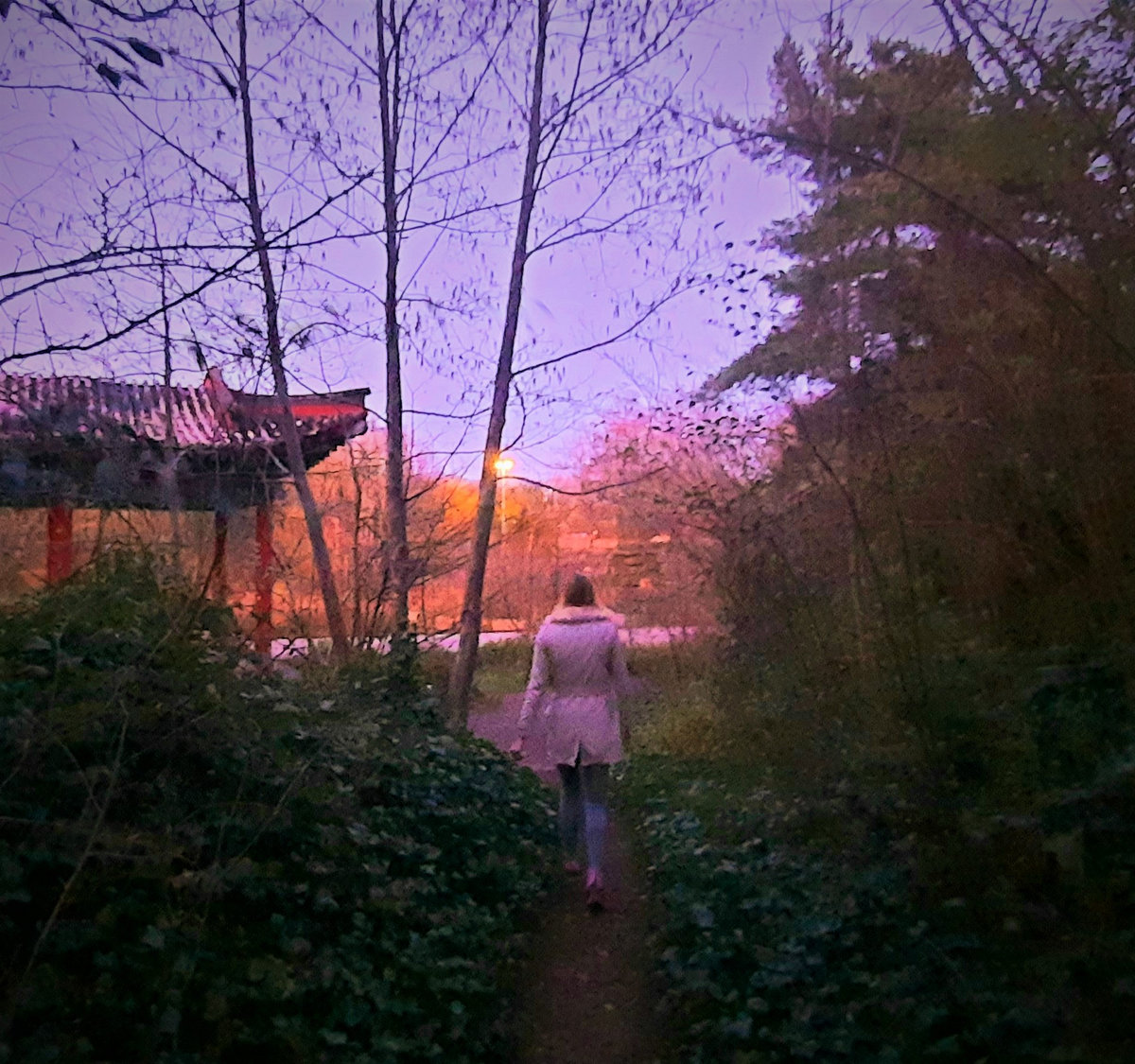 Phenakite | Danny Helm