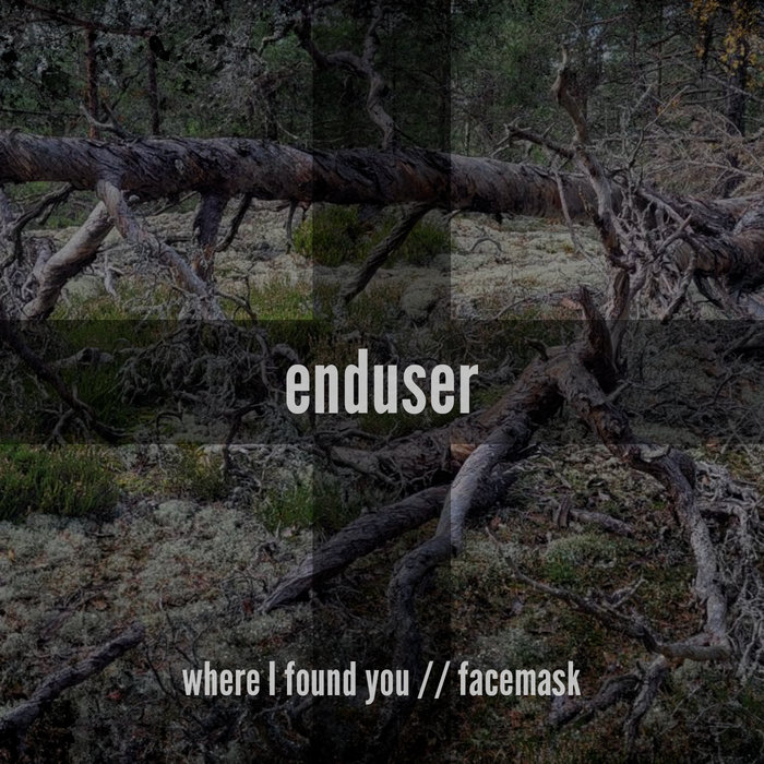 Where I Found You / Facemask | enduser