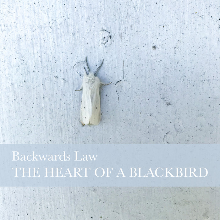 Backwards Law | The Heart Of A Blackbird