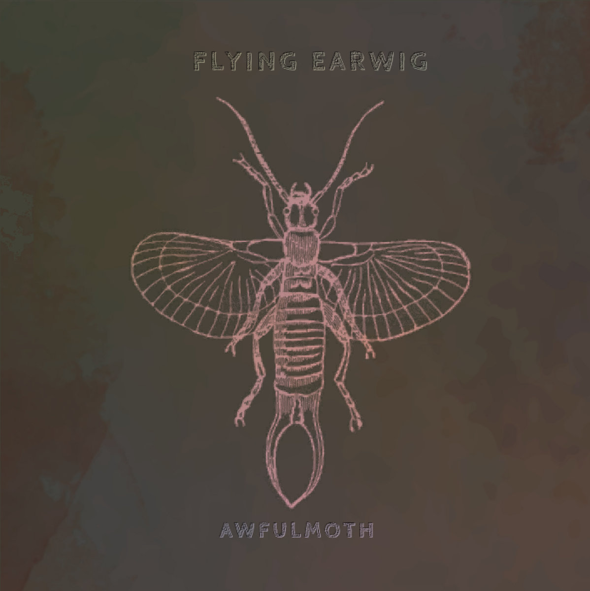 Flying Earwig (Beat Tape Demo) | Awfulmoth