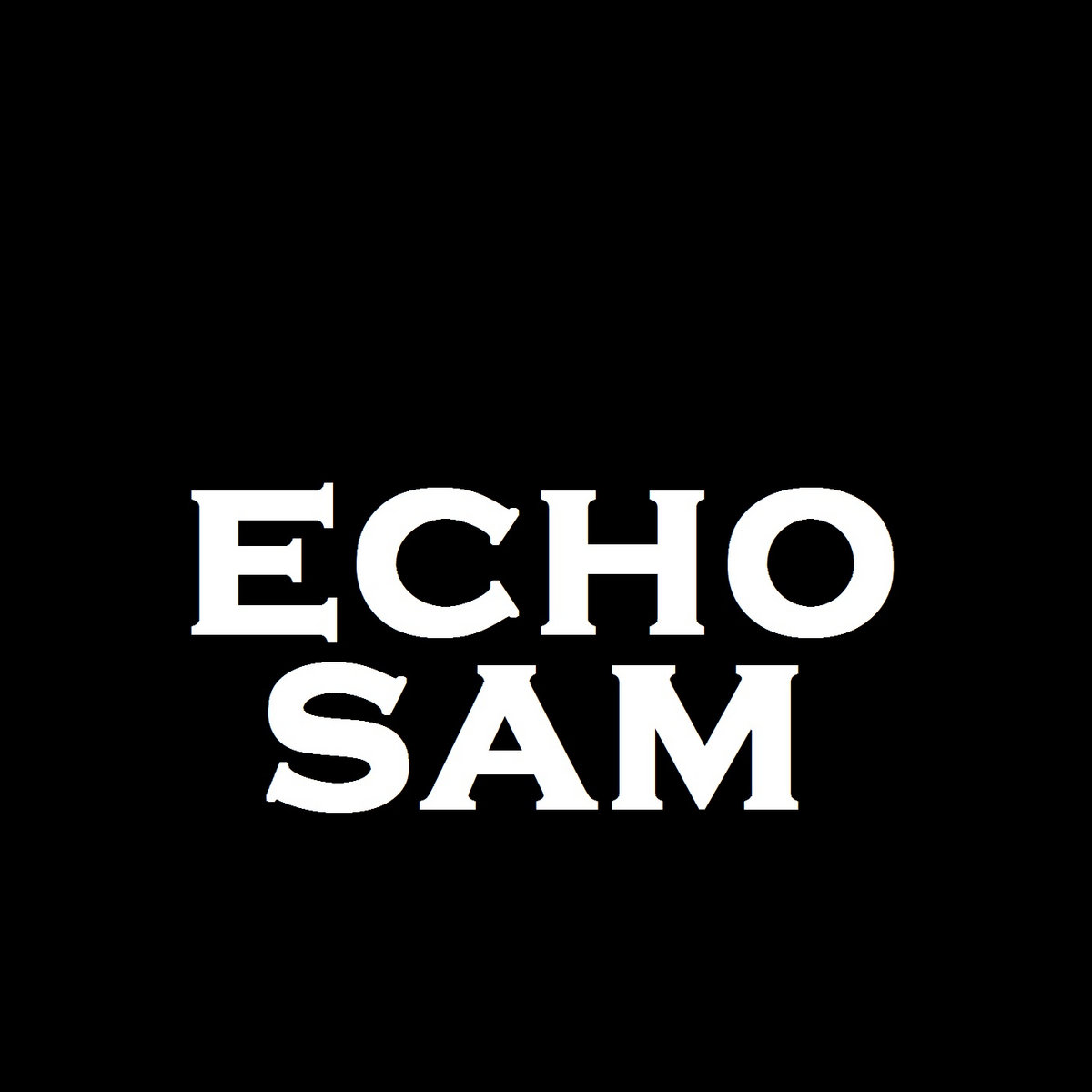 2010 Demos | Echo Sam