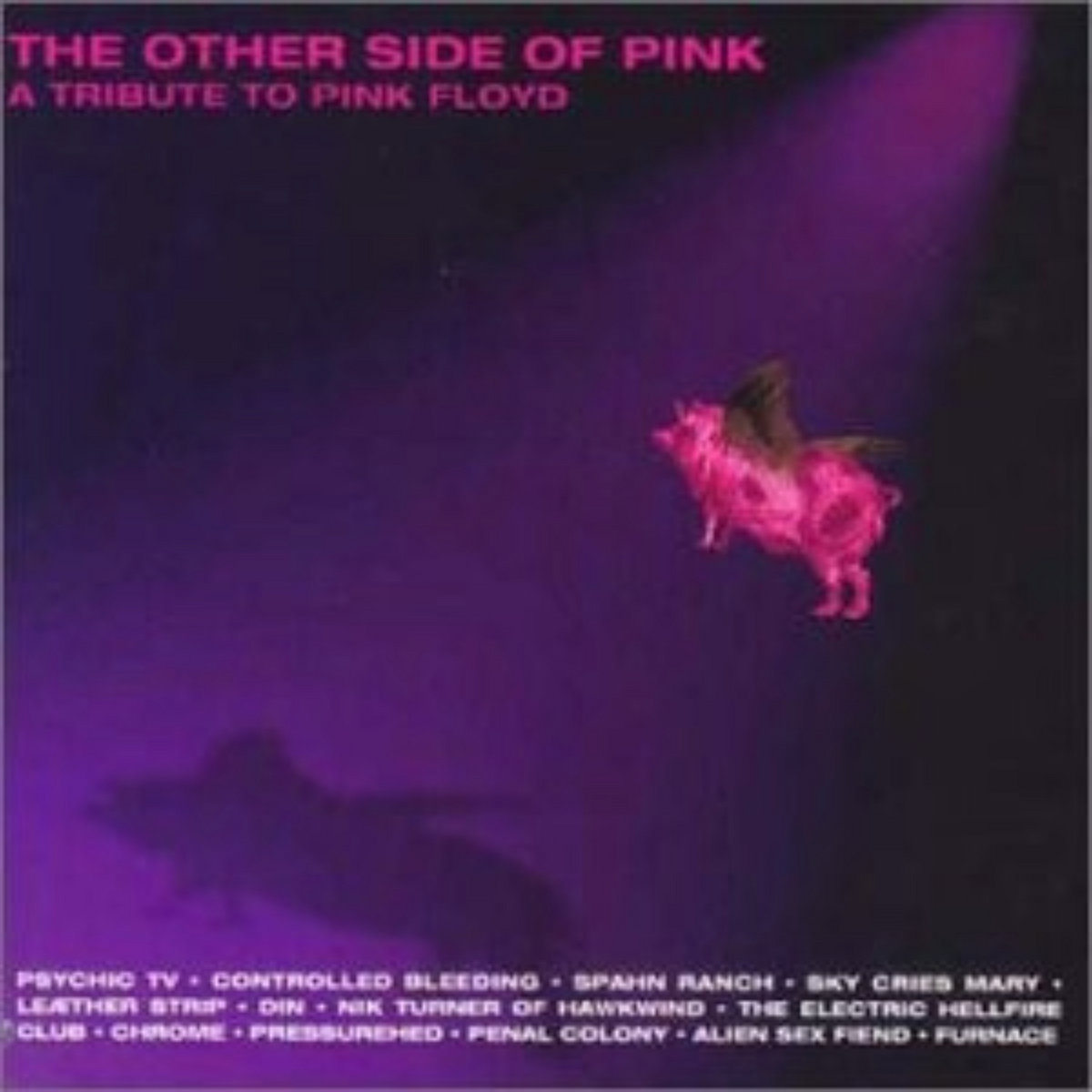 The Other Side Of Pink - A Tribute To Pink Floyd | Various Artists ...
