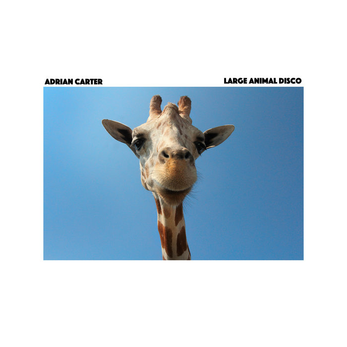Large Animal Disco | Adrian Carter