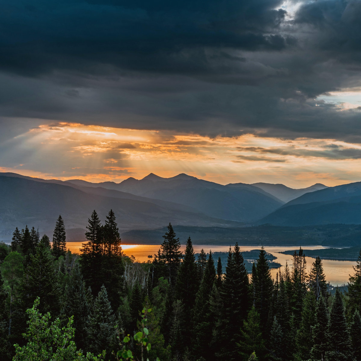 Hopes and Dreams | Justin Callaghan