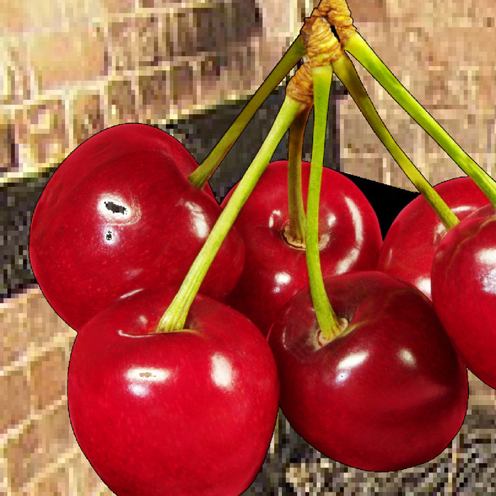 cherry crush | cherry crush