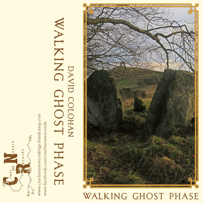 Walking Ghost Phase | David Colohan | Cruel Nature Records