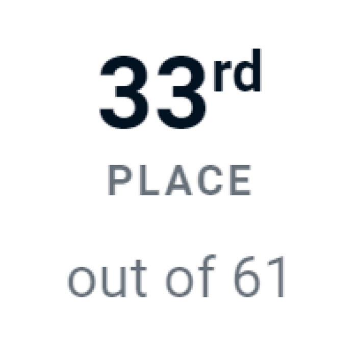 33rd PLACE out of 61 | SMASH BROS | Irrational Animal