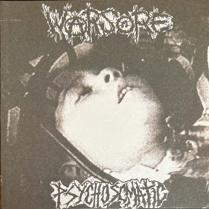 Warsore / Autoritar - Split Cd | Disturbed Mind Records