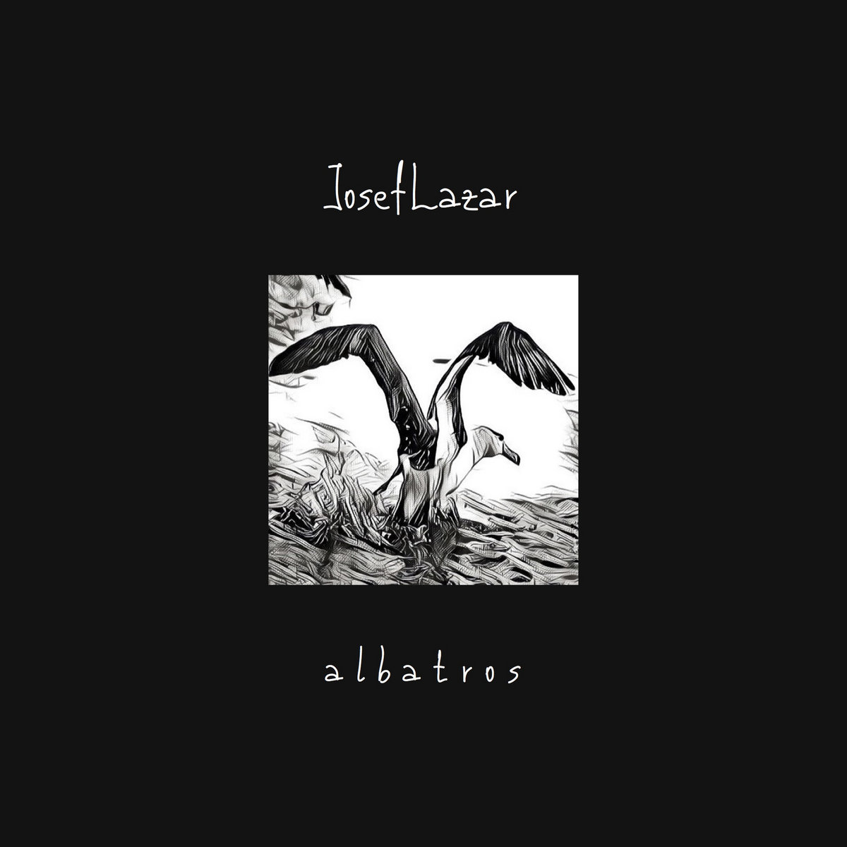 albatros | Josef Lazar