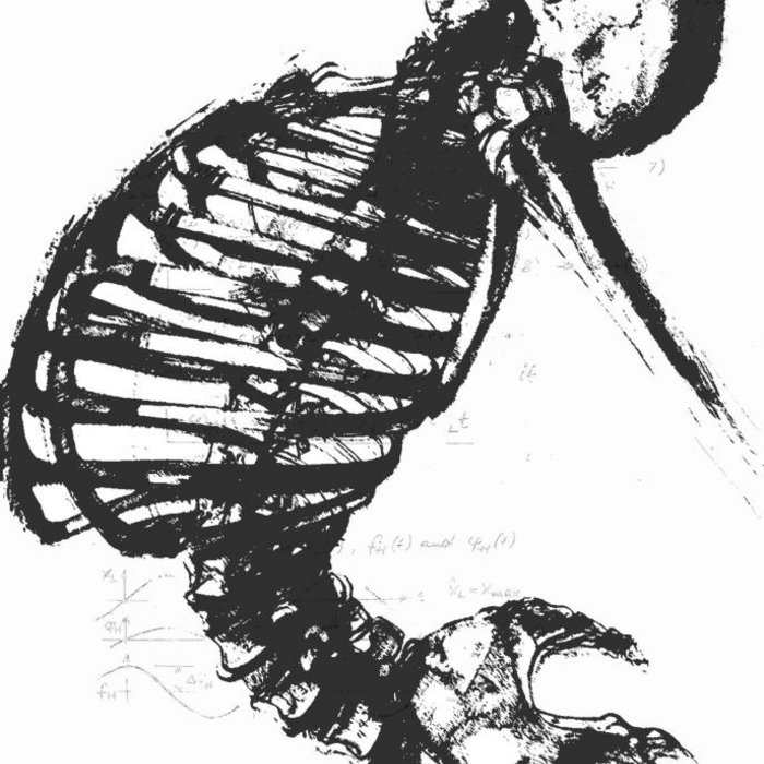 July 26 Movement | July 26 Movement | State and Main Records