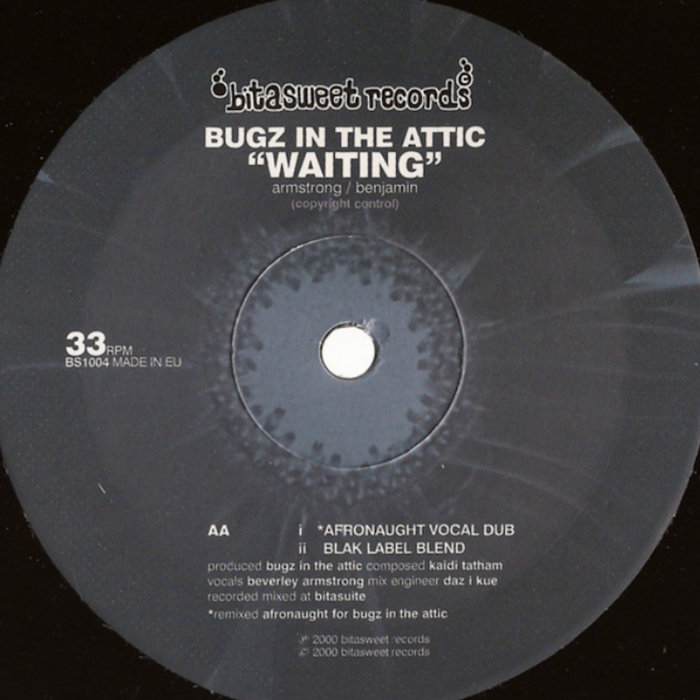 Waiting feat: Beverly Armstrong | Bugzintheattic | Bitasweet Records