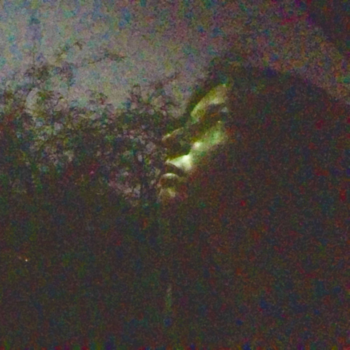 Electricity | Sarah Summer