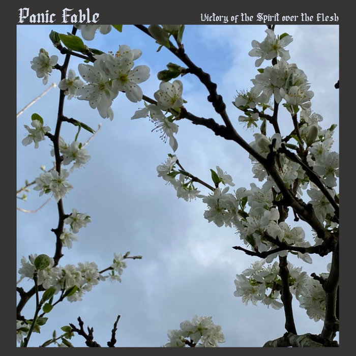Victory of the Spirit over the Flesh | Panic Fable