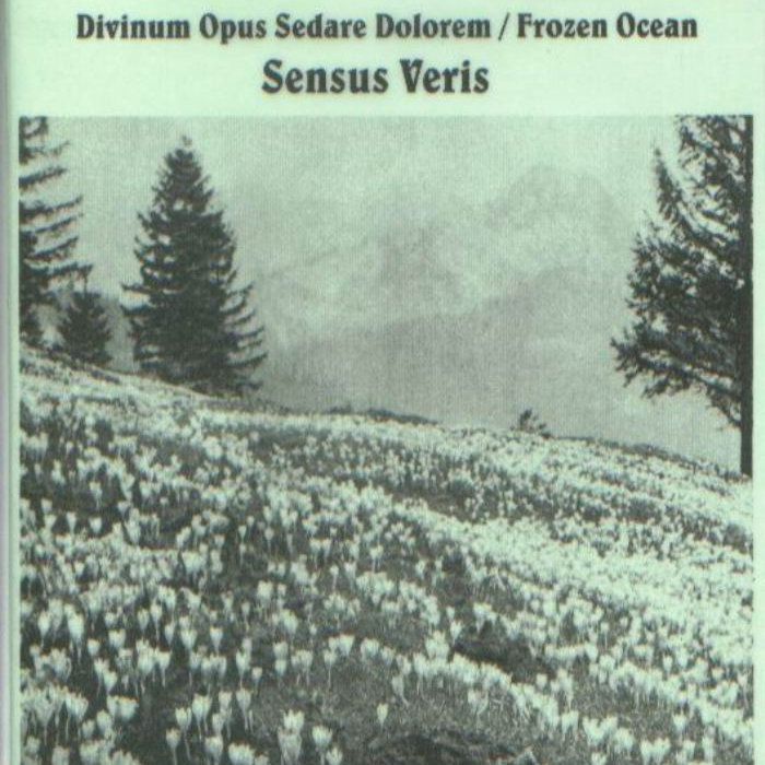 Sensus Veris | Frozen Ocean