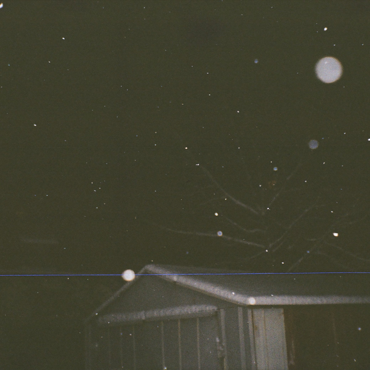 new year theme 2024 | corn wave