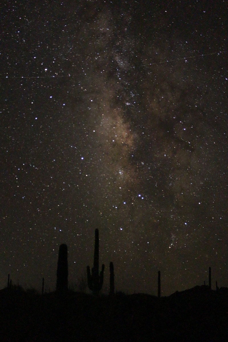 Are You in Here Somewhere and I Don't See You? | Gregg M. Pasterick and ...