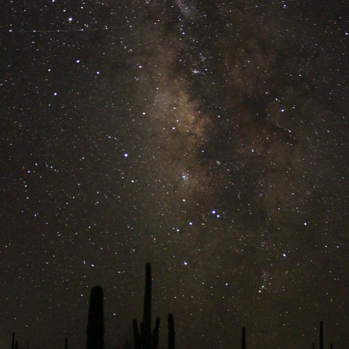 Are You in Here Somewhere and I Don't See You? | Gregg M. Pasterick and ...