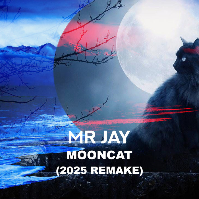 Mr Jay - Mooncat 2025 (cover) | DannyMrJay