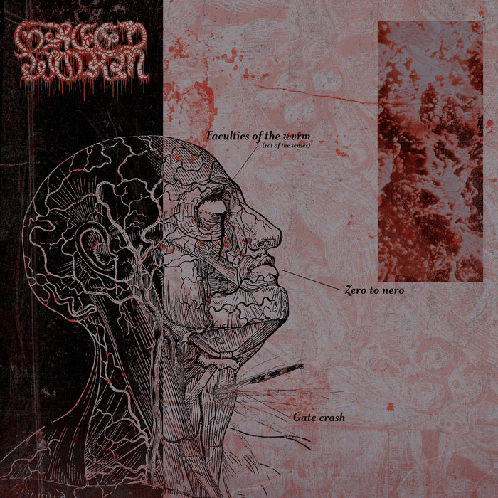 Promo 2025 | Greed Worm