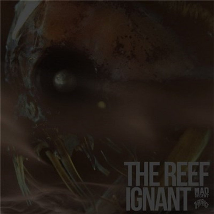 Ignant | The Reef (2)