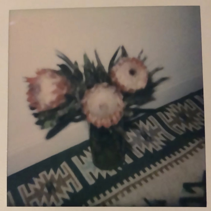 Victoria | Sean McMahon