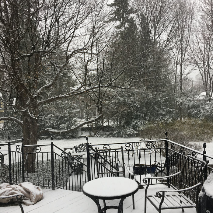 In Memory of Elizabeth Reed (Canadian cover) | Gerry Wall