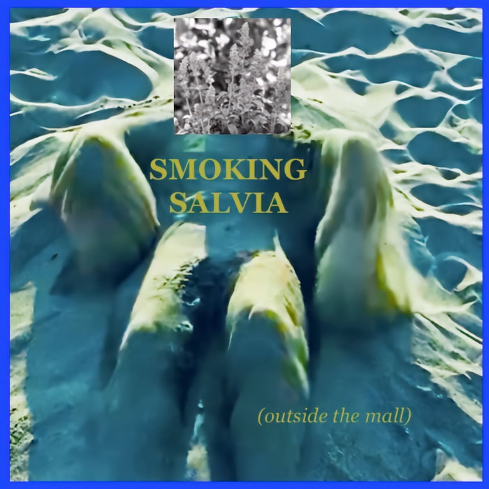 smoking salvia (outside the mall) | Bill Can